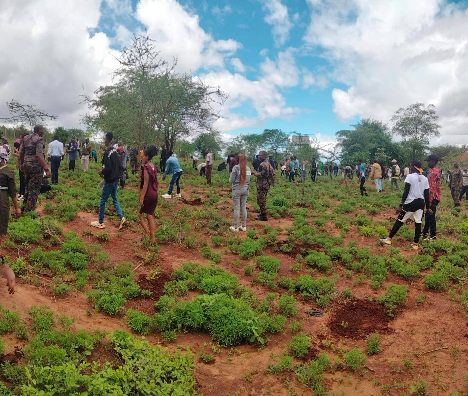 Featured Creature: Gila Monster - Biodiversity for a Livable Climate