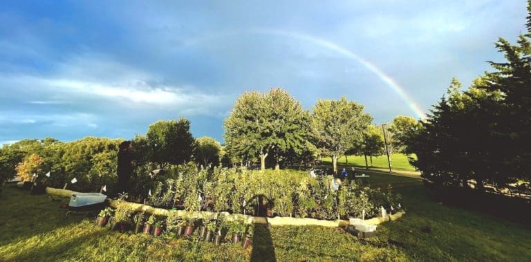 Danehy Park Forest - Biodiversity for a Livable Climate
