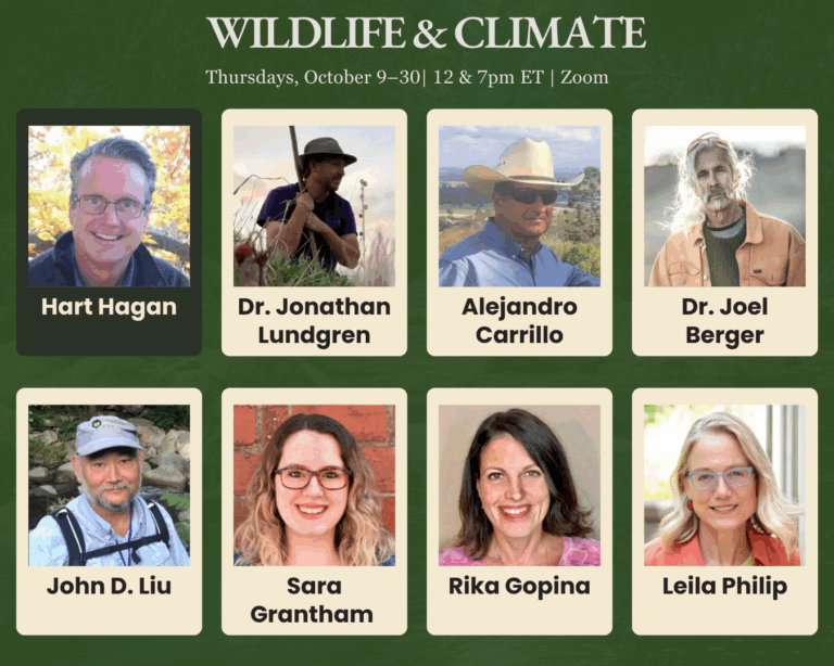 Featured Creature: Burmese Python - Biodiversity for a Livable Climate