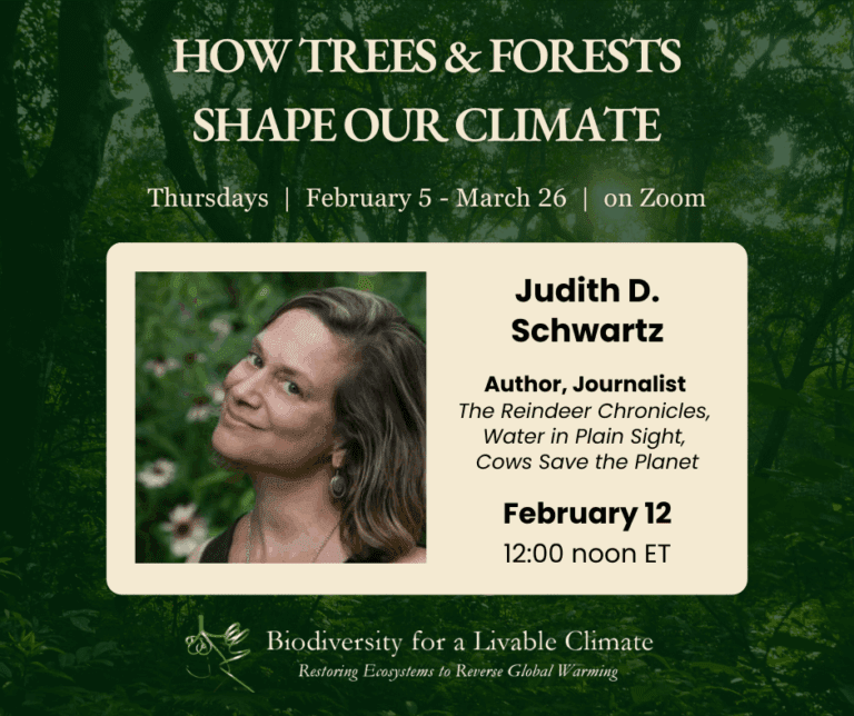 Featured Creature: Gila Monster - Biodiversity for a Livable Climate