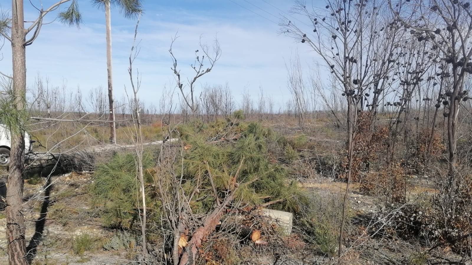 Kogelberg Biosphere Reserve - Biodiversity for a Livable Climate