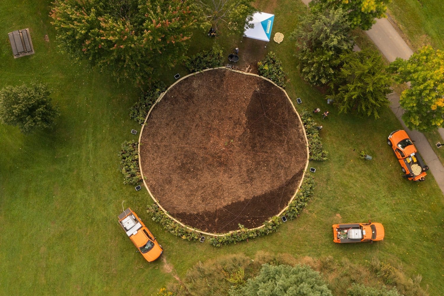 Danehy Park Forest - Biodiversity for a Livable Climate
