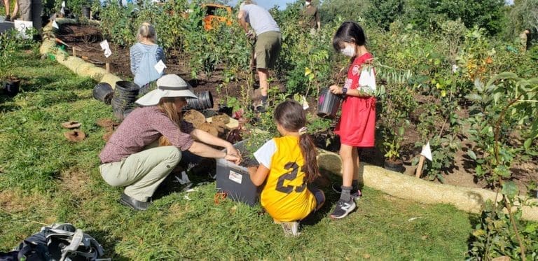 Danehy Park Forest - Biodiversity for a Livable Climate