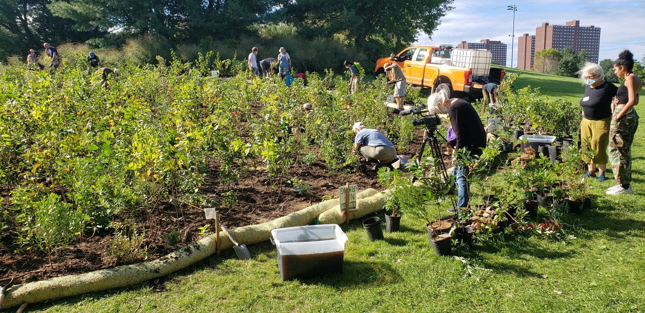 Danehy Park Forest - Biodiversity for a Livable Climate