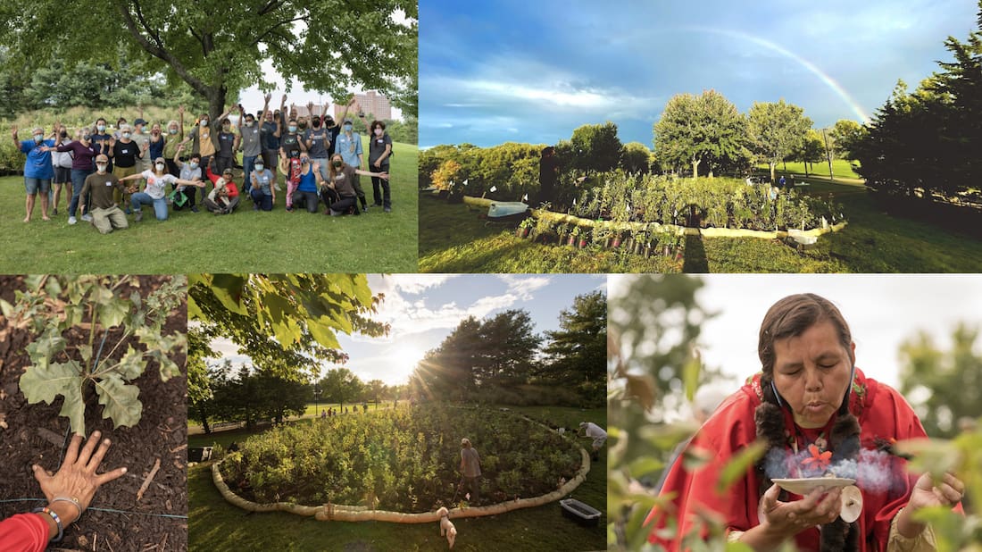 Danehy Park Forest - Biodiversity for a Livable Climate